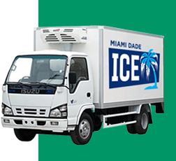 Fast Emergency Ice Delivery